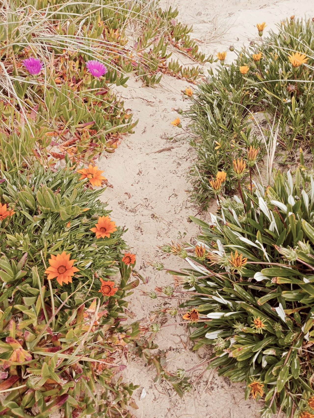 Gallery - Doubtless Bay