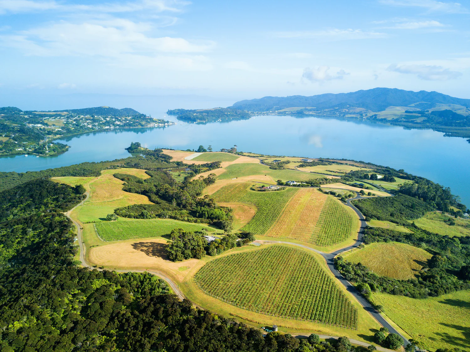 Dancing Petrel Wines - Doubtless Bay