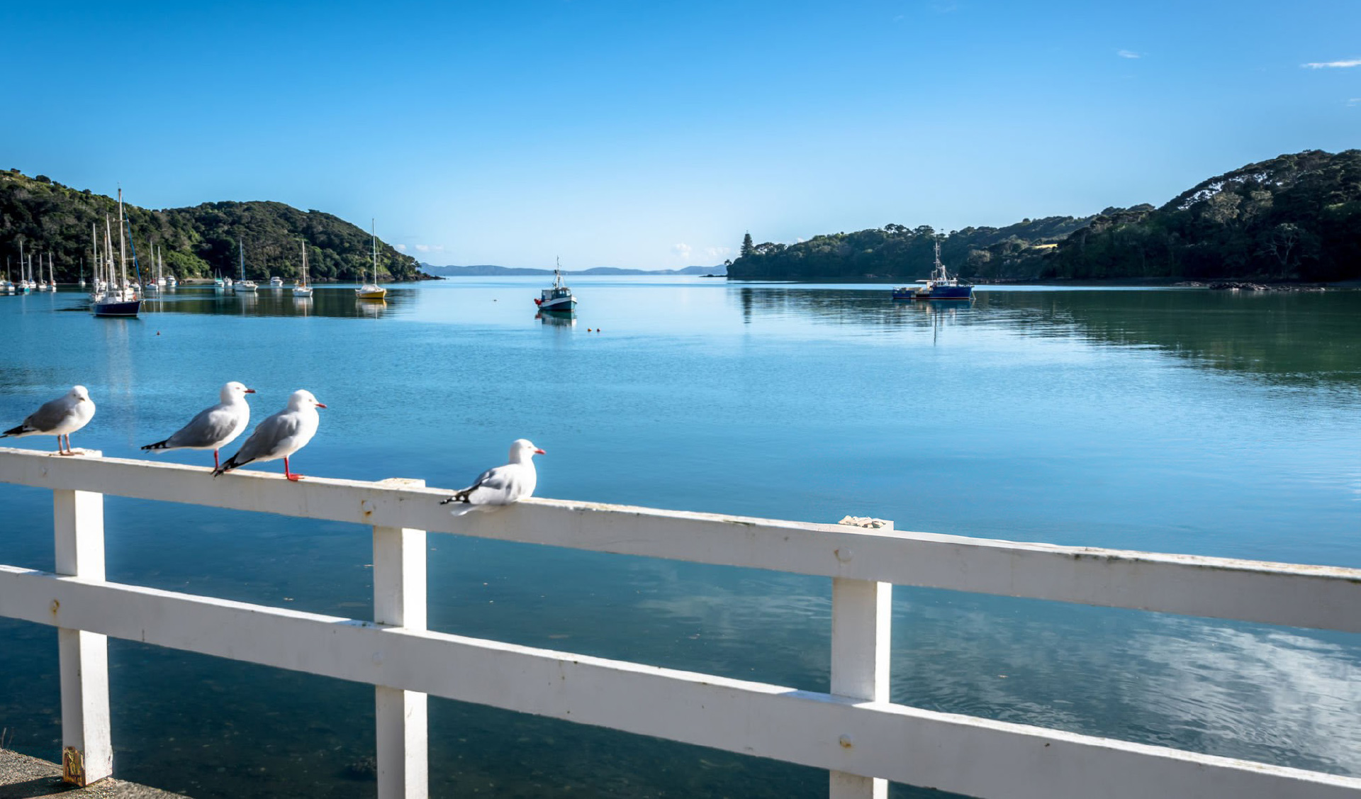 Doubtless Bay Laundry Service - Doubtless Bay